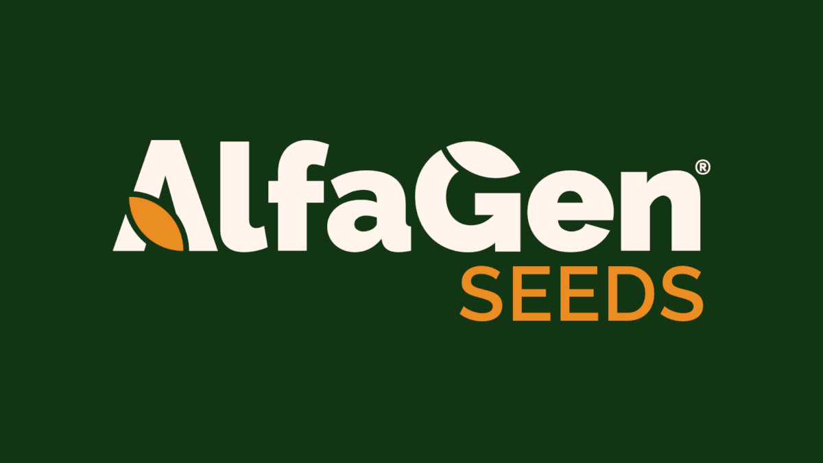 Nowra, NSW – Forage comparison site - AlfaGen